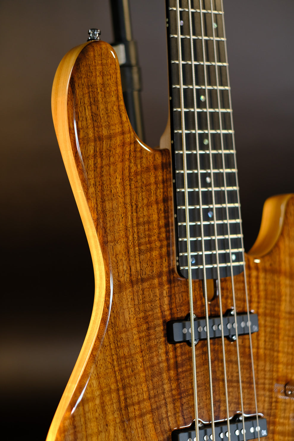Mayones Jabba Custom shop - Master Grade Walnut - Bass Freaks Sprl